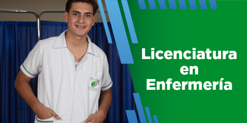 Licenciaturas | Universidad Tecnológica del Sur del Estado de México